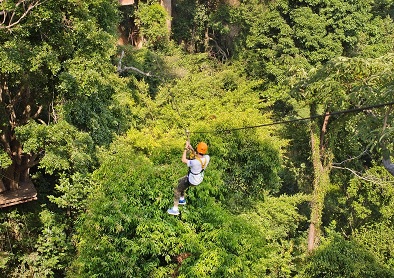 Zip Line Phuket | Thrilling Adventure in Phuket